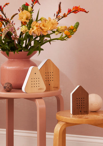 Zwitscherbox - Bird Sound Box | Motion Sensor – Ethimaart