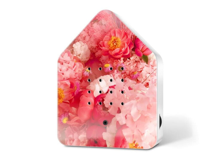 Zwitscherbox - Bird Sound Box | Motion Sensor – Ethimaart